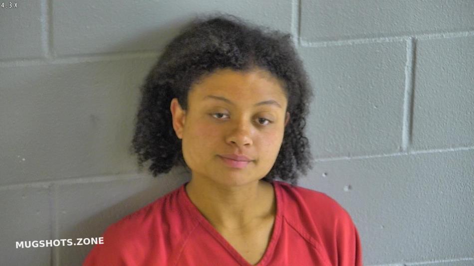 WATKINS KAYLEAN MARIE 08/26/2023 - Levy County Mugshots Zone