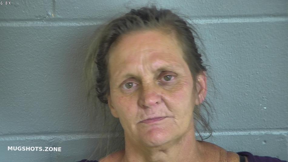 LAWSON JOHNNIE ELVA 07/17/2024 - Levy County Mugshots Zone