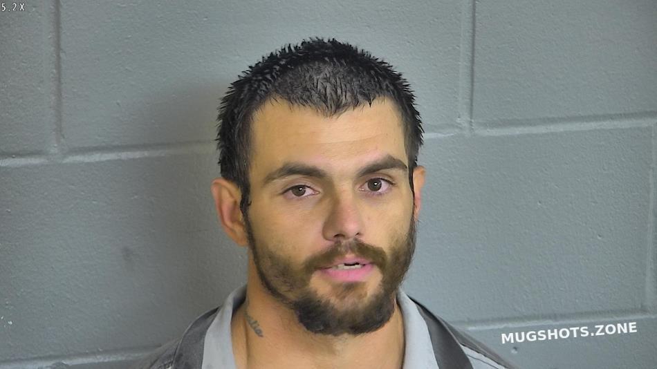 BROWN STEVEN ALLEN 11/14/2024 - Levy County Mugshots Zone