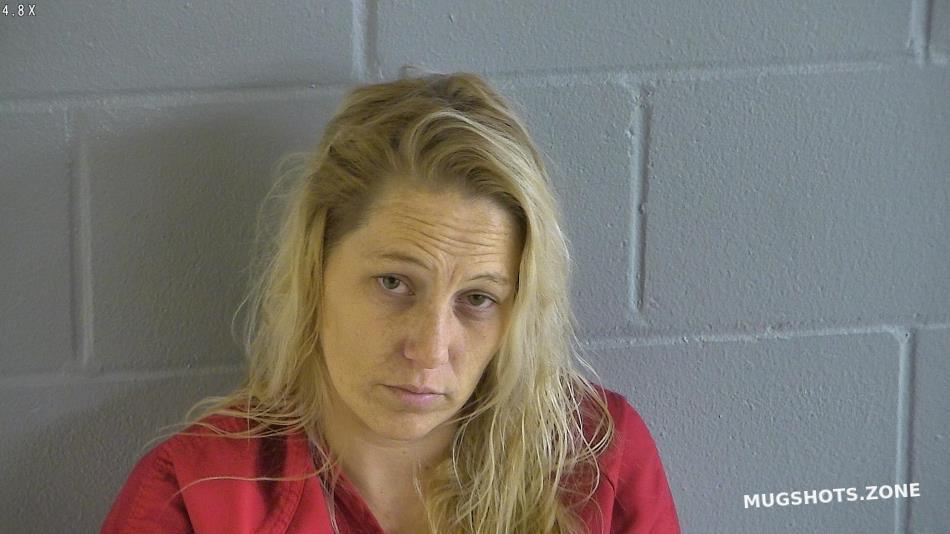 STRAIN SARA MARIE 01/14/2025 - Levy County Mugshots Zone