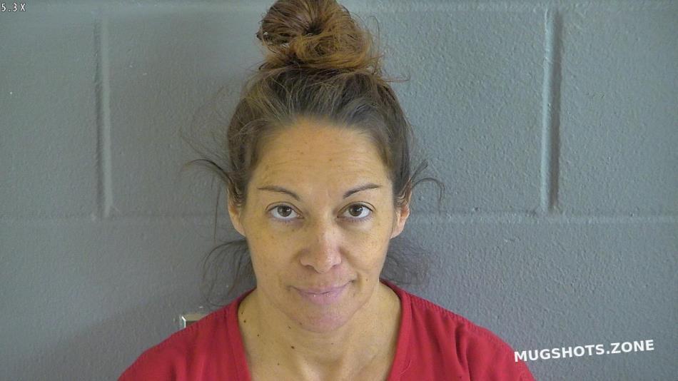 FENTRESS SONJA EMILY 03/11/2025 - Levy County Mugshots Zone