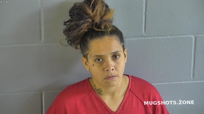 HAUGHT CAROL 01/08/2026 - Levy County Mugshots Zone