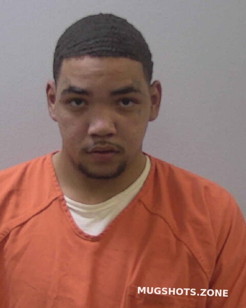 ANDERSON DAVID RICKEY 07/30/2024 - Lexington County Mugshots Zone