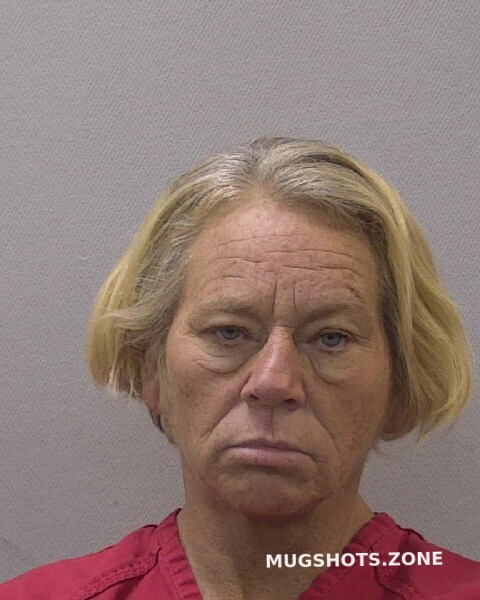 CLAYTON TONYA DENISE 10/29/2024 - Lexington County Mugshots Zone