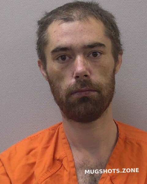 SWANGER JAMES DALE 11/18/2024 - Lexington County Mugshots Zone