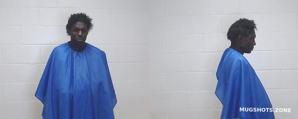 SCROGGINS GREG TYRONE 02/05/2023 - Liberty County Mugshots Zone