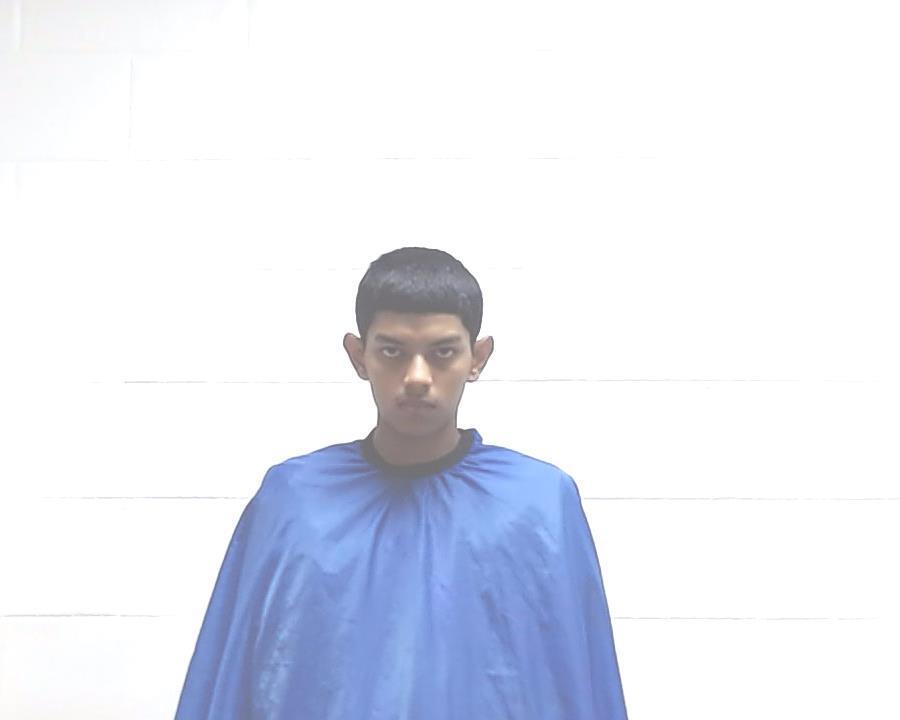 NATAREN-BELTRAN LESTER 08/11/2023 - Liberty County Mugshots Zone