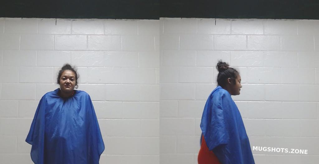 MORGAN BRYANNA 11/14/2024 - Liberty County Mugshots Zone
