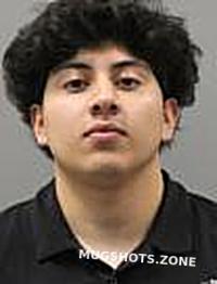 HERNANDEZ GONZALEZ DAVID 05/10/2025 - Limestone County Mugshots Zone