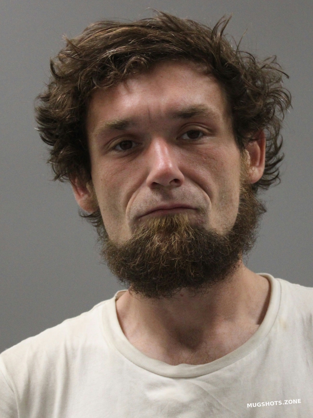 TYLER ANDERSON MANSEL 06/01/2025 - Limestone County Mugshots Zone