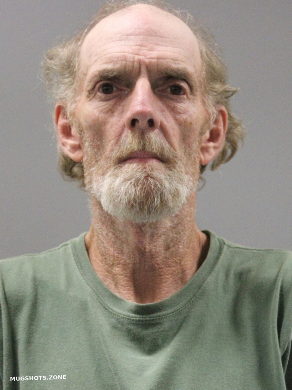 GREGORY SHANE RIDINGER 06/03/2025 - Limestone County Mugshots Zone