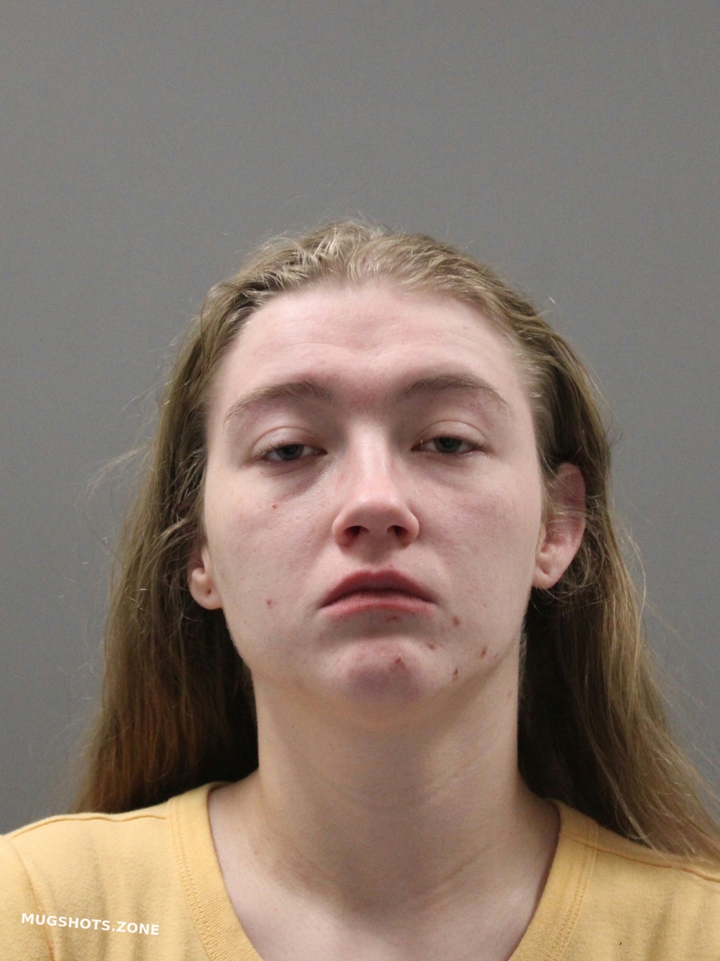 BETHANEY ANNE DAVIS 06/05/2025 - Limestone County Mugshots Zone