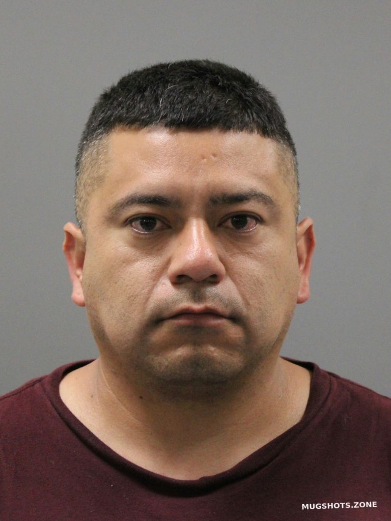 ADRIAN HUMBERTO RAMOS 06/06/2025 - Limestone County Mugshots Zone