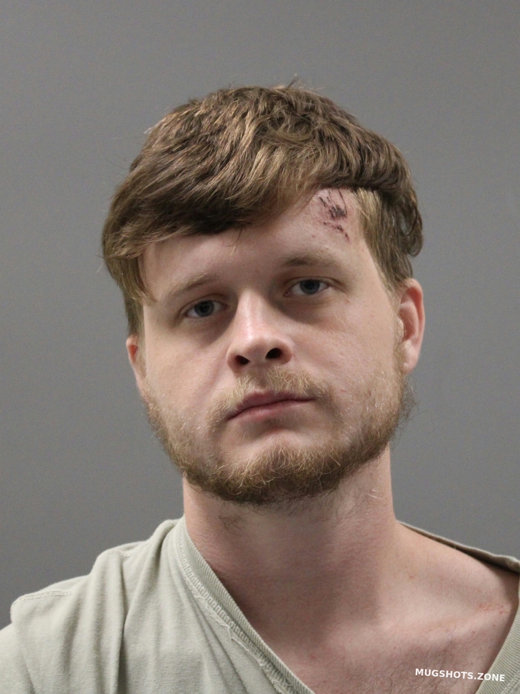 CALEB JUSTIN CHRISWELL 06/12/2025 - Limestone County Mugshots Zone