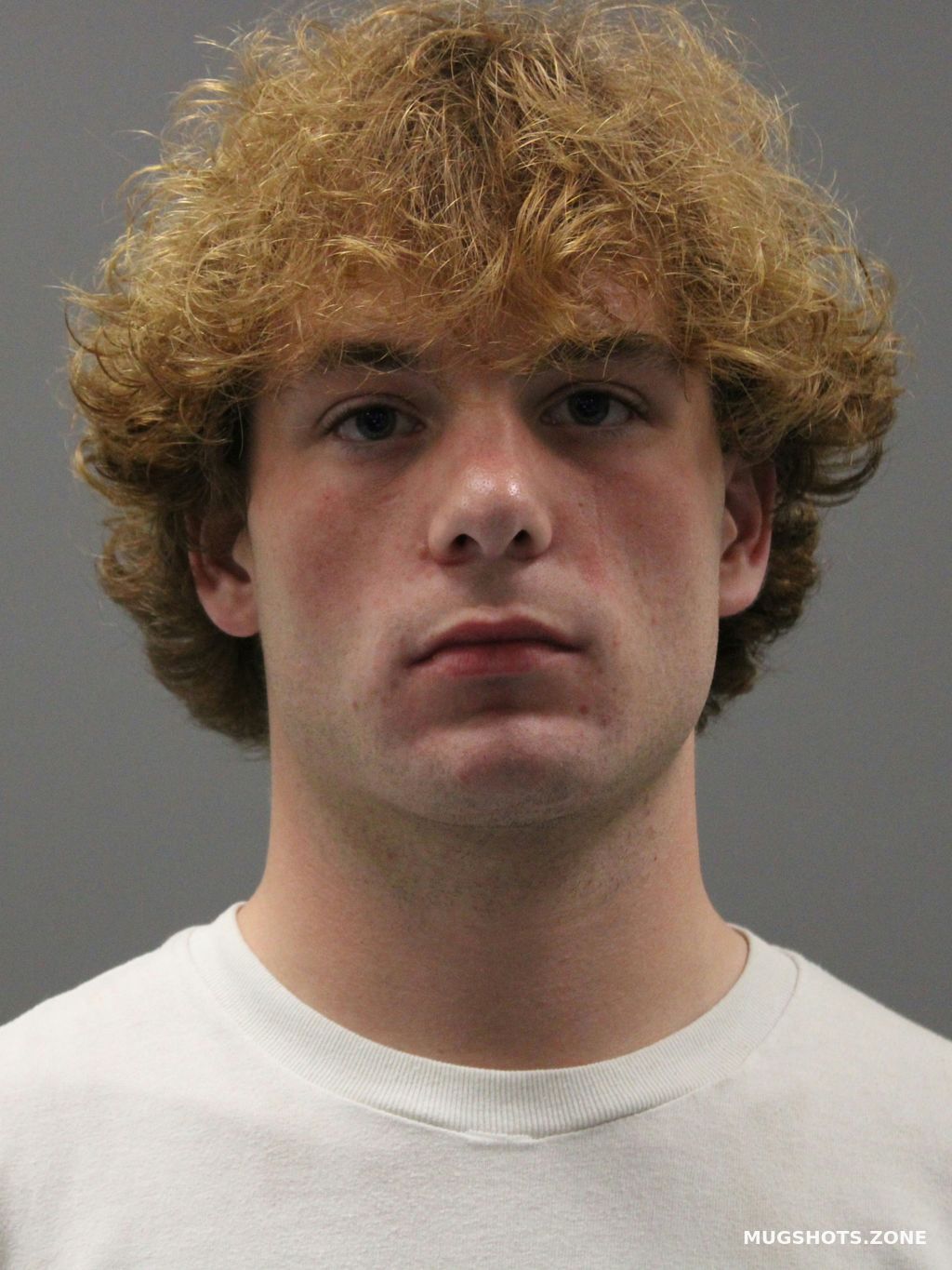 AUSTIN LANCE DYLAN HOLT 06/25/2025 - Limestone County Mugshots Zone