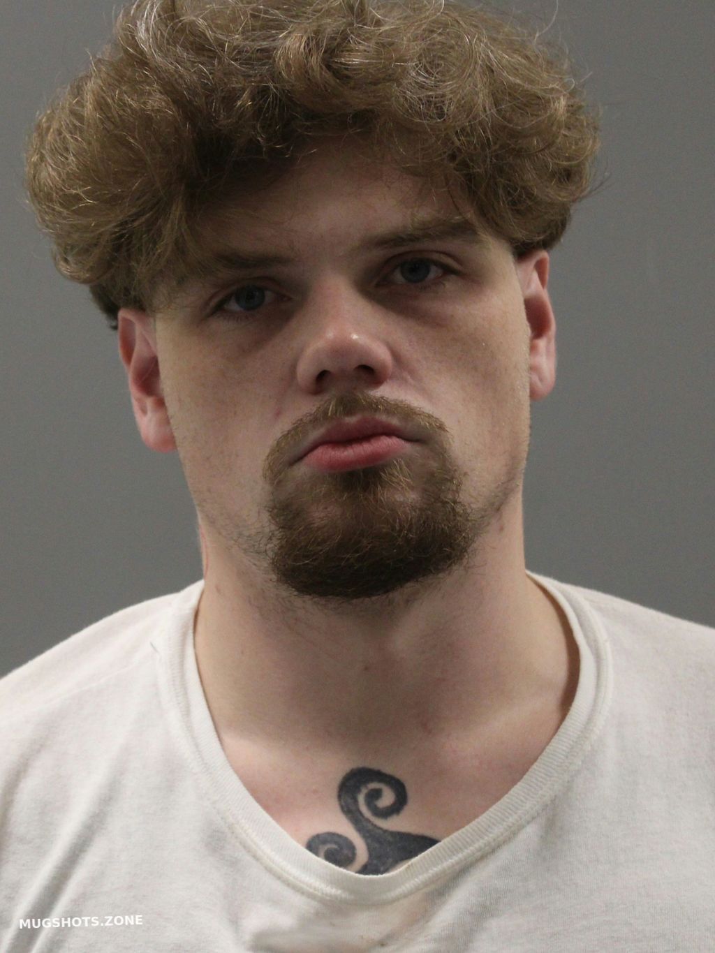 AYDEN SEBASTIAN PERKINS 09/30/2025 - Limestone County Mugshots Zone