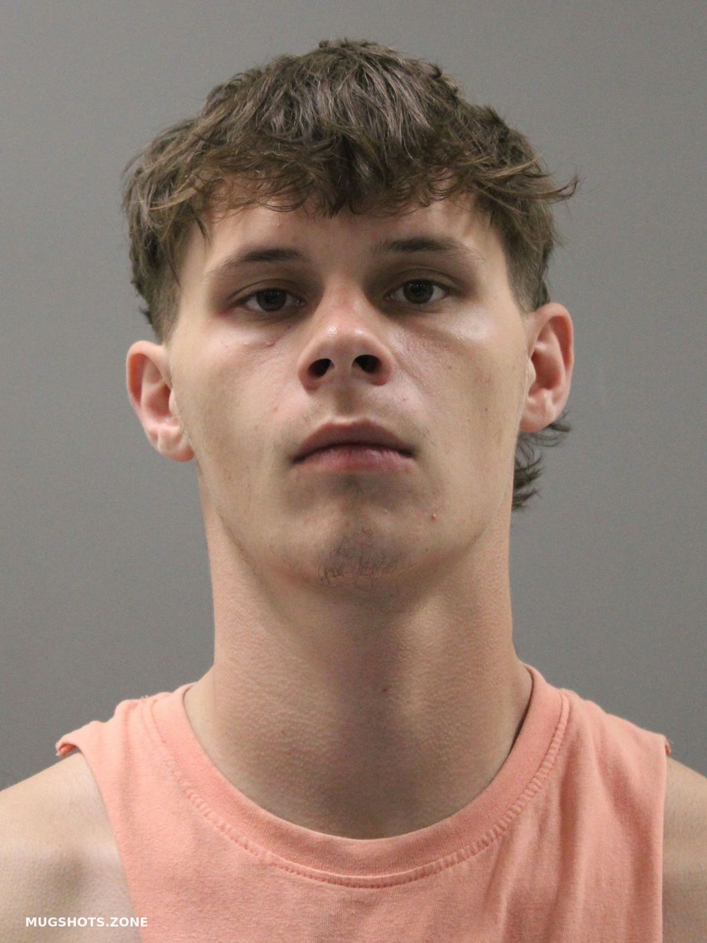 ANDREW DAVID JORDAN JACKSON 10/19/2025 - Limestone County Mugshots Zone