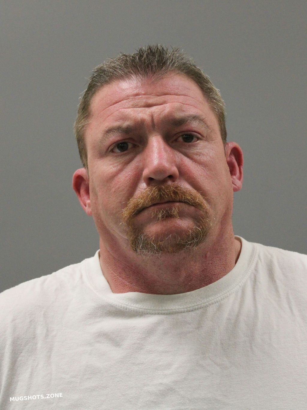 MARK TRAVIS VINCENT 11/12/2025 - Limestone County Mugshots Zone