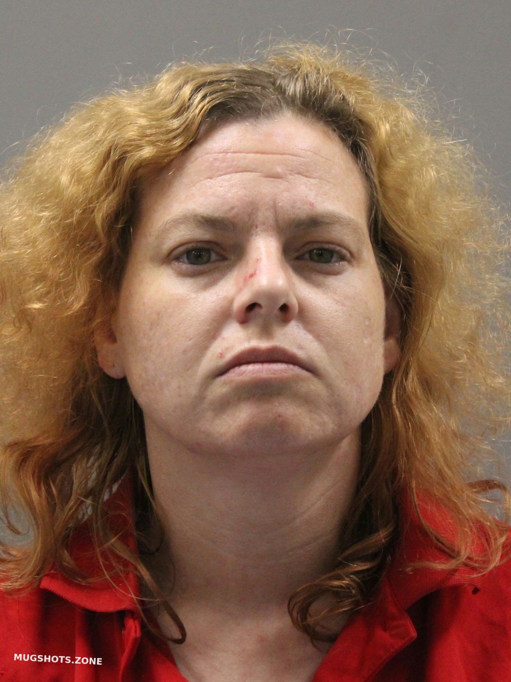 JANET MICHELLE DUTTON 11/21/2025 - Limestone County Mugshots Zone