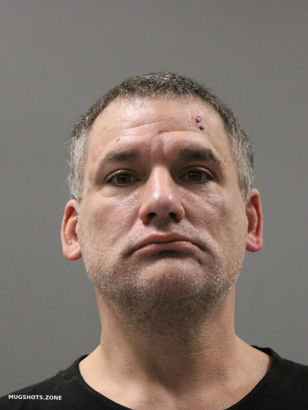 THOMAS JAY AMERSON 12/25/2025 - Limestone County Mugshots Zone