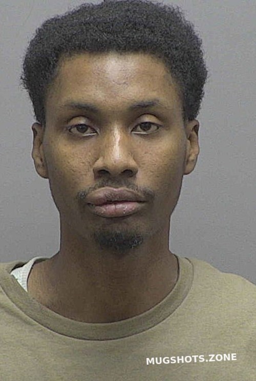 BROOKS LANGSTON APOLLO 03/27/2025 - Lincoln County Mugshots Zone