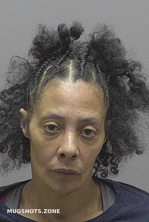 STOKES REBECA DENISE 04/15/2025 - Lincoln County Mugshots Zone