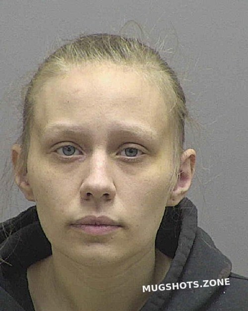 DAVIS ALYSSA JORDAN 04/17/2025 - Lincoln County Mugshots Zone