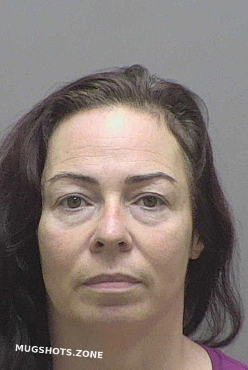 MOEBES AMY NICOLE 06/04/2025 - Lincoln County Mugshots Zone