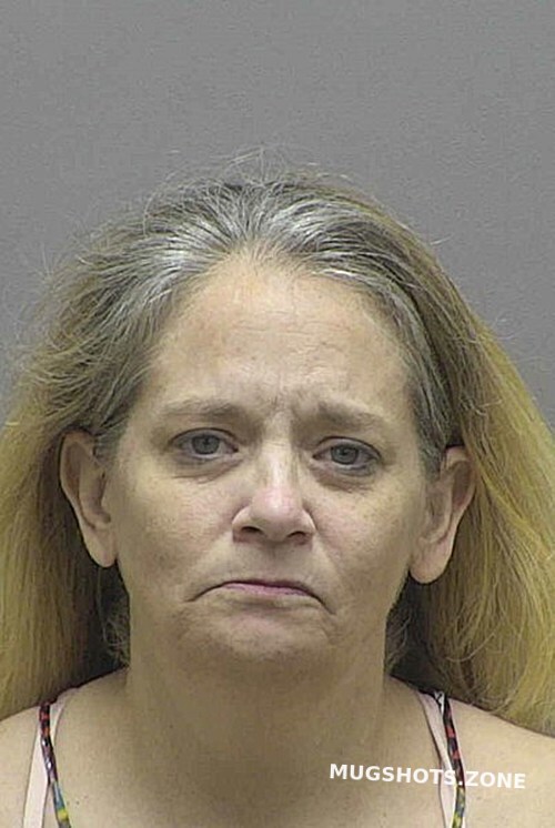 TALLENT TRACEY YOUNG 06/17/2025 - Lincoln County Mugshots Zone
