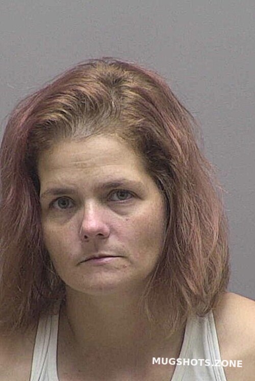 ARMOUR AMY LYNN 09/22/2025 - Lincoln County Mugshots Zone