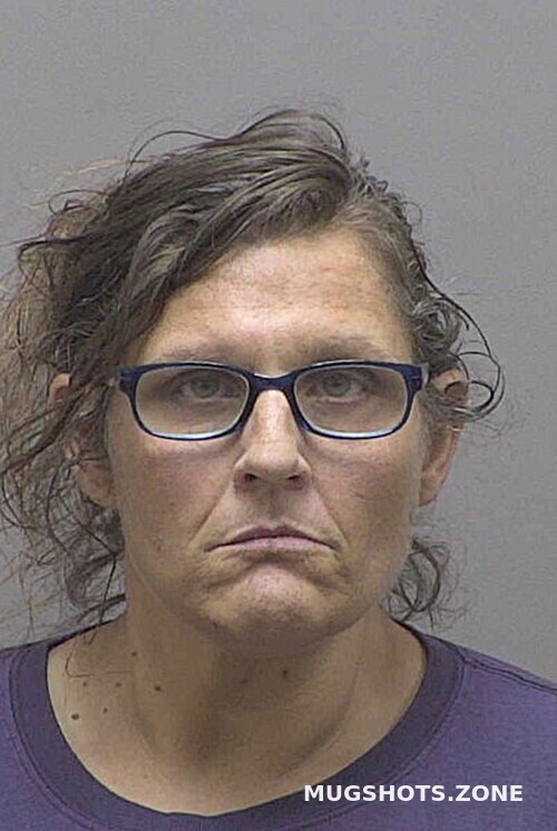 DEESE ALLISON BREWER 10/10/2025 - Lincoln County Mugshots Zone