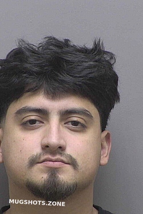 DUARTE MARIO RAMIREZ 02/16/2026 - Lincoln County Mugshots Zone