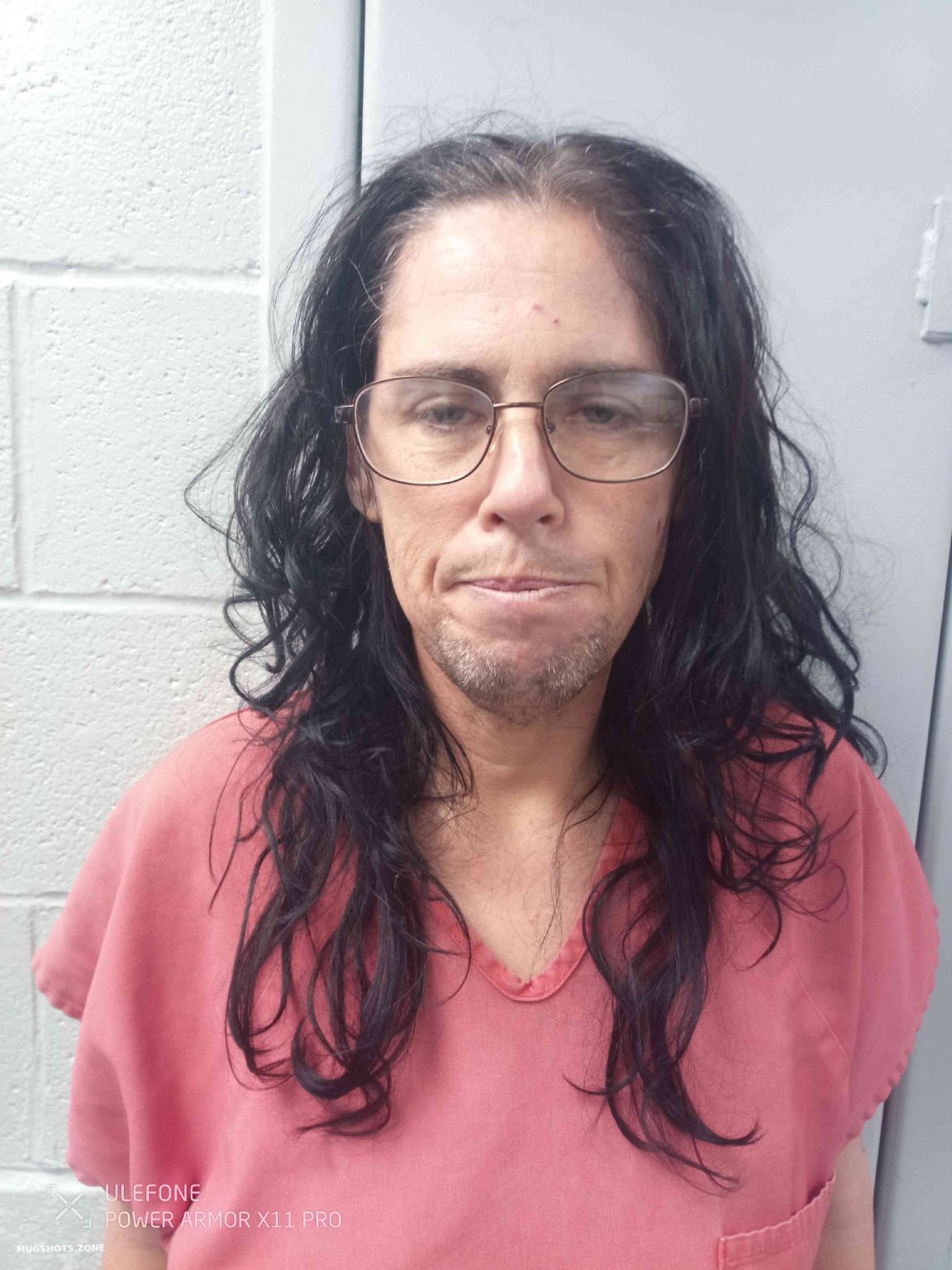 HAMPTON ANGELA 01/24/2025 - Logan County Mugshots Zone