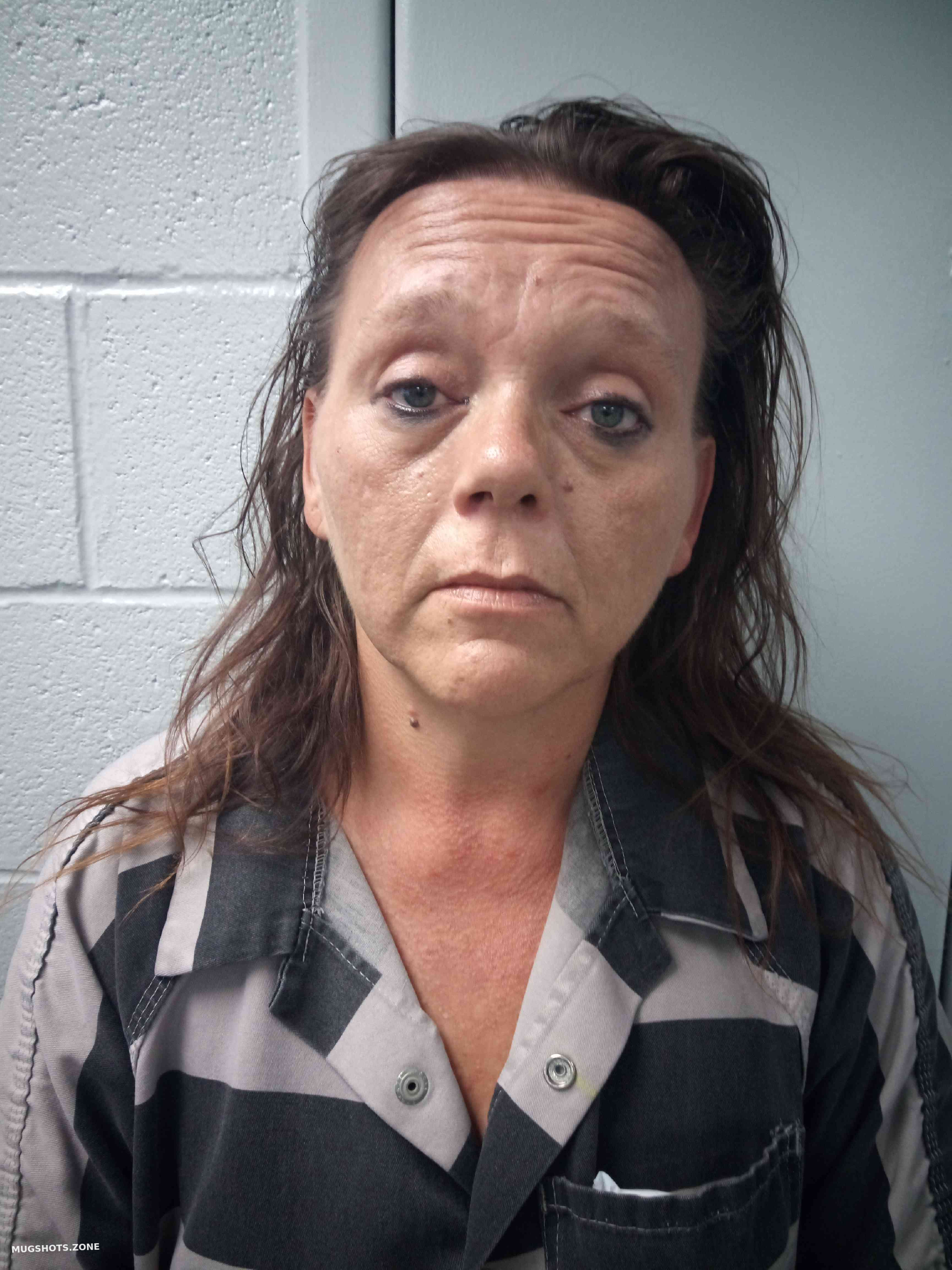 COMBS MICHELLE 04/23/2025 - Logan County Mugshots Zone