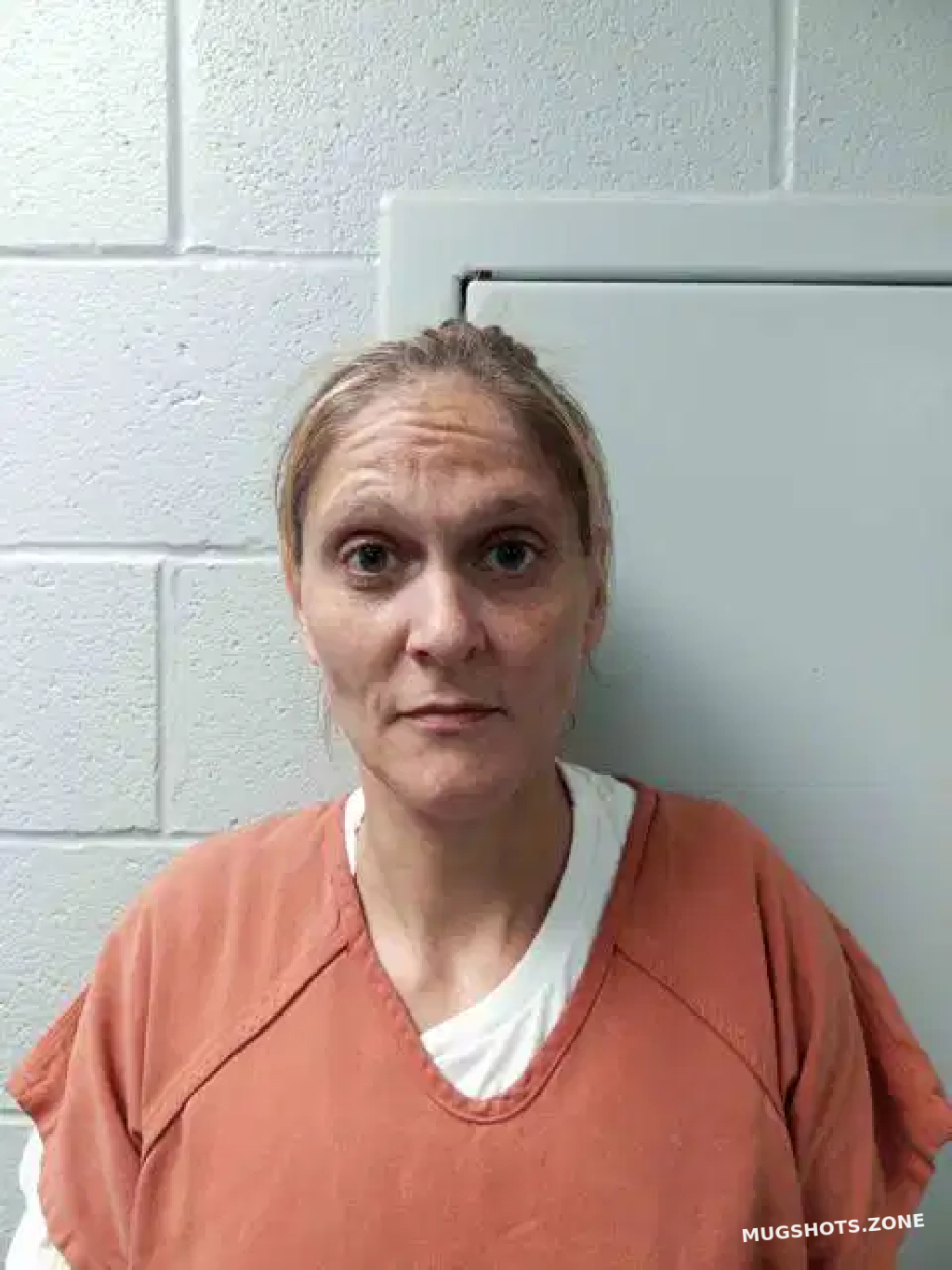 DAVIDSON TRACIE 02/17/2026 - Logan County Mugshots Zone