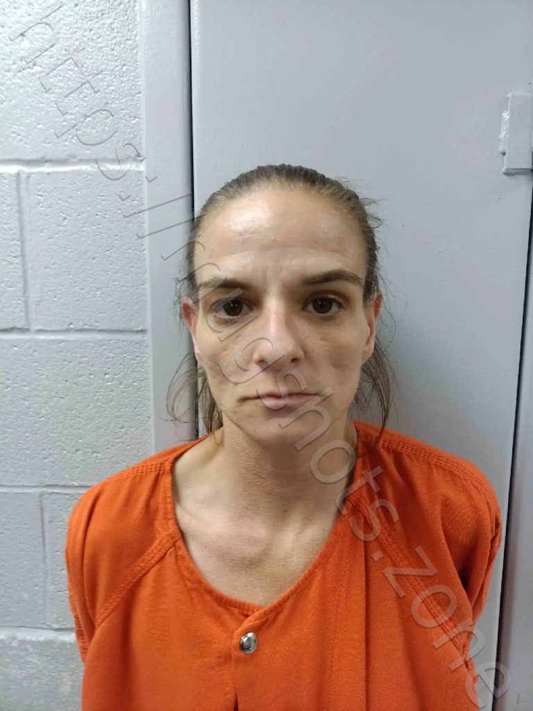 GOOSTREE GINGER 03/25/2026 - Logan County Mugshots Zone