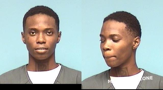 WILLIAMS SIMONE MONET 01/15/2021 - Lorain County Mugshots Zone