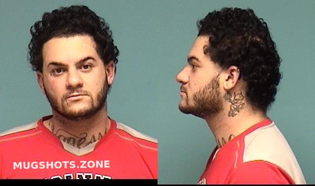 ROMAN LUIZ 03/18/2021 - Lorain County Mugshots Zone