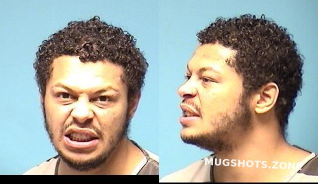 ALLGOOD RAYMOND D 05/01/2021 - Lorain County Mugshots Zone