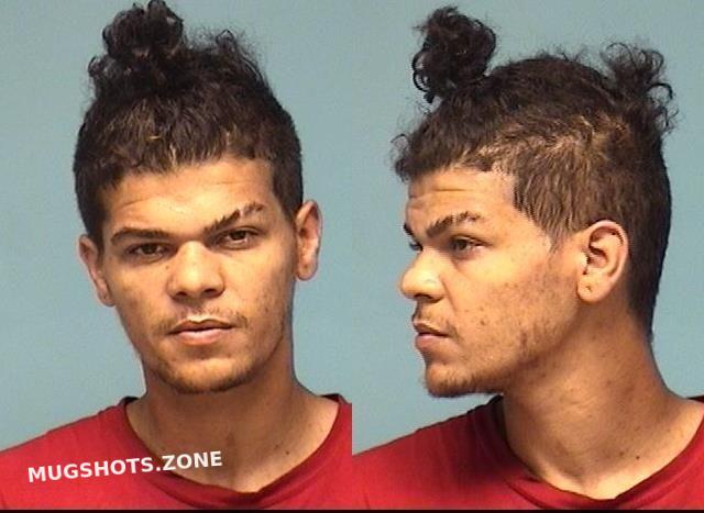 MOSS TORREY LAMAR 05/24/2021 - Lorain County Mugshots Zone