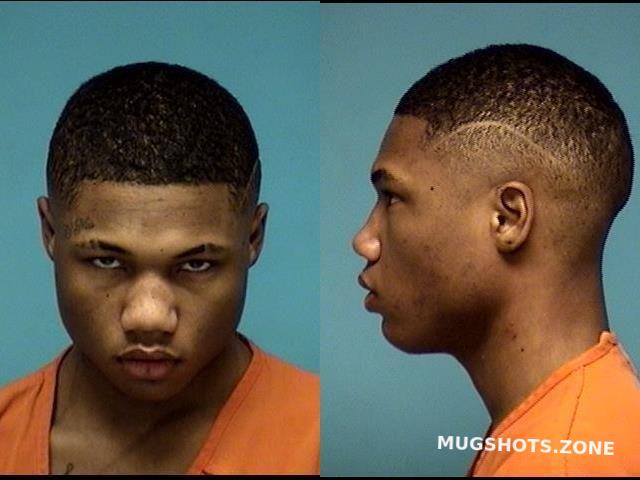 HOWARD-AYERS TAHJAY A 02/16/2022 - Lorain County Mugshots Zone