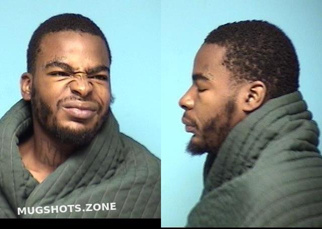 RIDDLES TERRANCE SCOTT JUNIOR 08/19/2022 - Lorain County Mugshots Zone