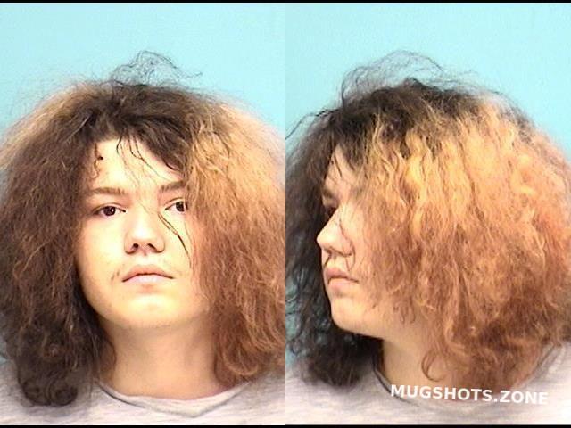 James Skyler Jacob 08272022 Lorain County Mugshots Zone