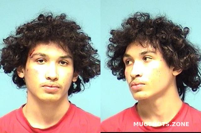 DAVIS JAIDYN ALEXANDER 11/16/2022 - Lorain County Mugshots Zone