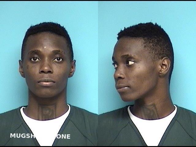 WILLIAMS SIMONE MONET 01/18/2023 - Lorain County Mugshots Zone