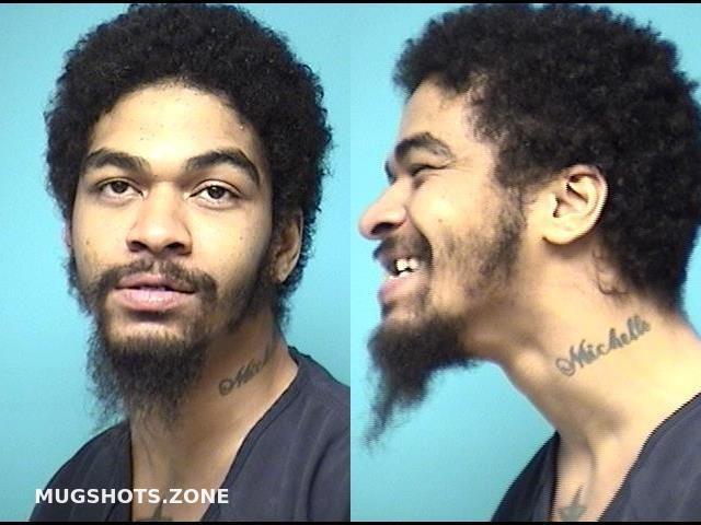 WILSON QUASHAWN D 02/19/2023 - Lorain County Mugshots Zone