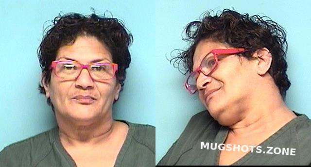 NEELY ANN MARIE 04/28/2023 - Lorain County Mugshots Zone