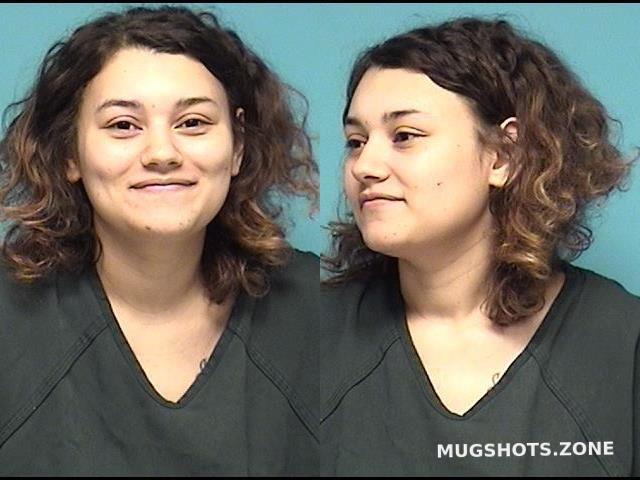 WELLS SHIANN D 07/04/2023 - Lorain County Mugshots Zone