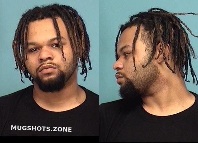 ELLIS MICHAEL 07/30/2023 - Lorain County Mugshots Zone