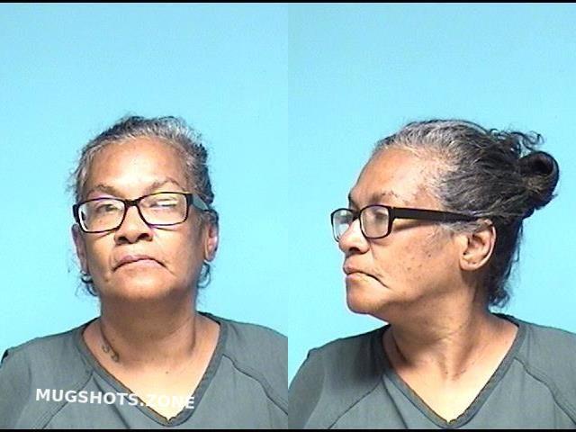 FLINT LISA M 08/04/2023 - Lorain County Mugshots Zone